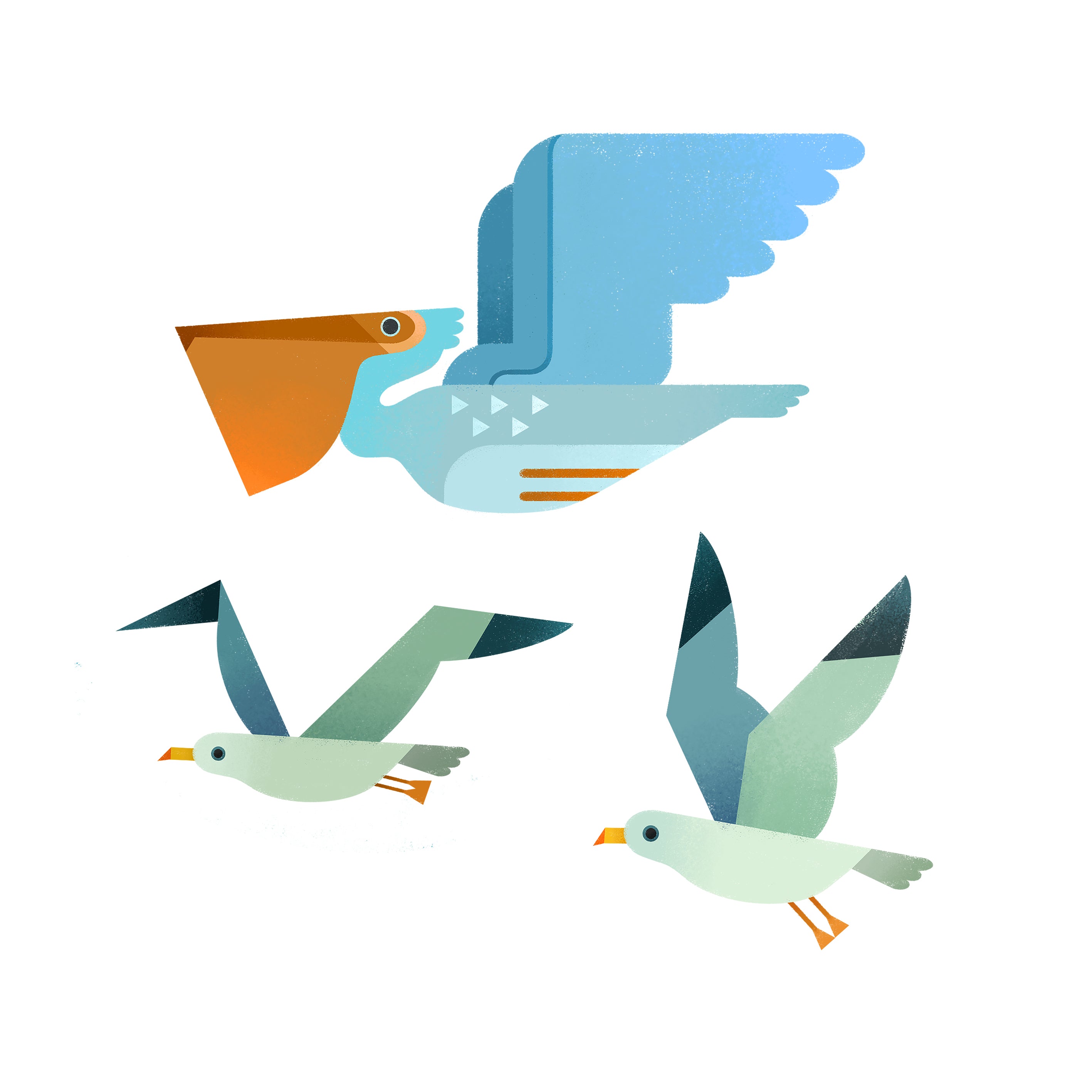 Sea Bird Pack – jackiepaperla